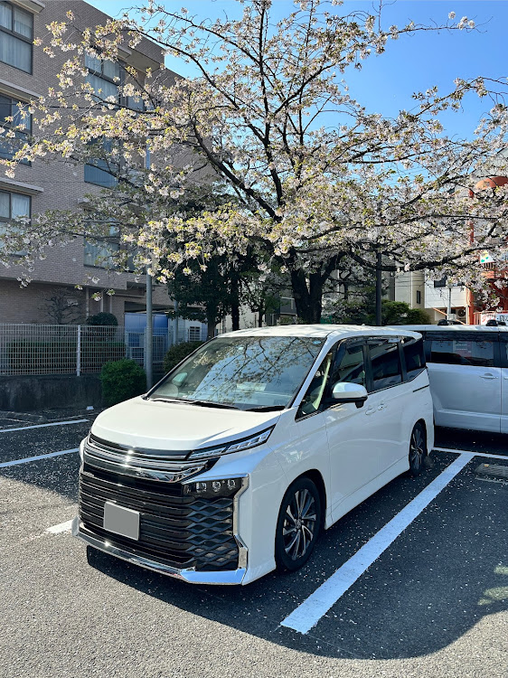 ヴォクシーの90ヴォクシー・桜とコラボ・桜とさくらとヴォクシーに関するカスタム事例｜車のカスタム情報はcartune