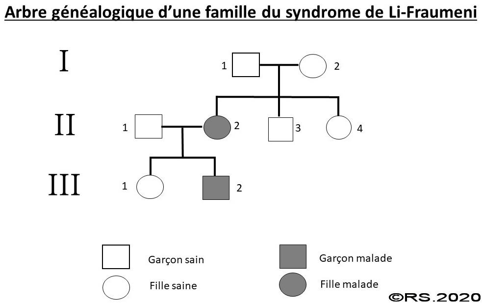 Transmission De Maladies Génétiques