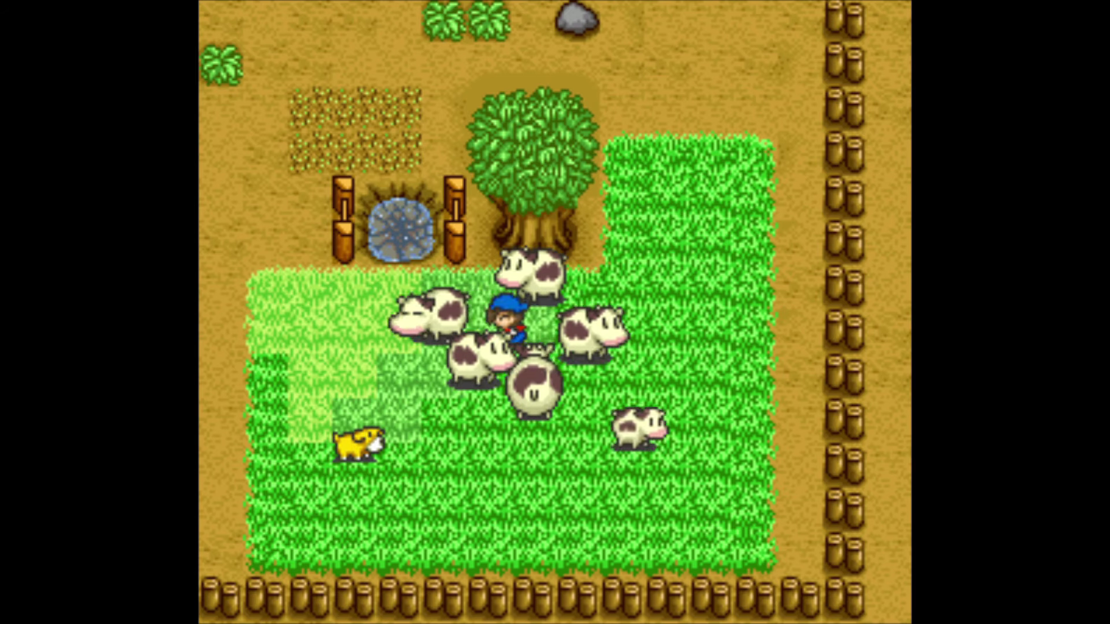 How To Get All Endings In Harvest Moon Snes Gamerzenith