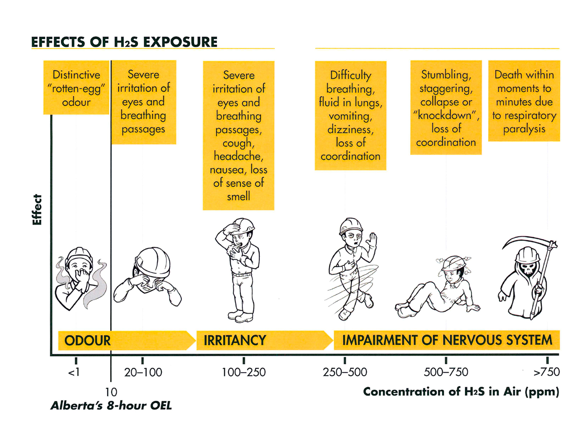 H2s Monitoring Know About Hydrogen Sulphide Oizom