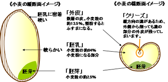 【レシピ】ダイエット中の方や子どもにもおすすめ！全粒粉パンケーキ ちょこっとパン作り