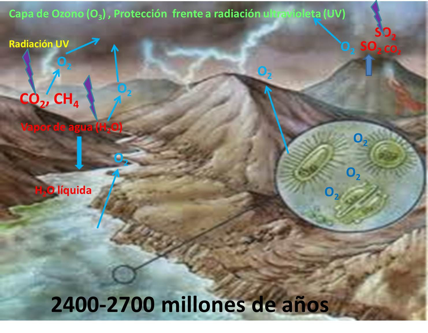 Las Primeras Formas De Vida Sobre La Tierra