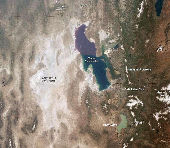 Solitary Dog Sculptor Nasa Us View Of The Great Salt Lake From