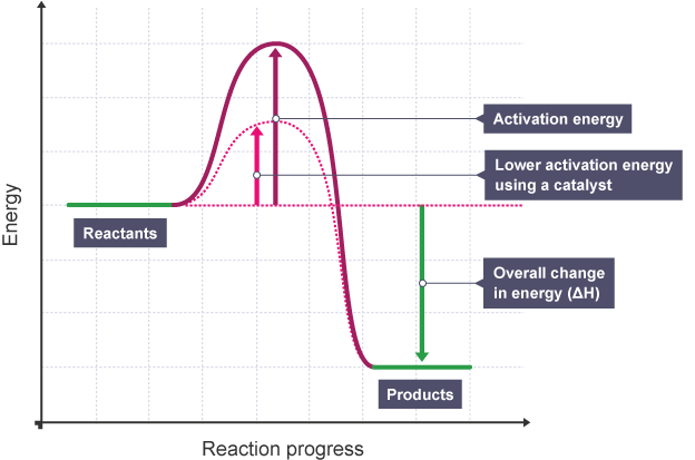 Igcse Chemistry 2017 314c Draw And Explain Reaction Profile Diagrams