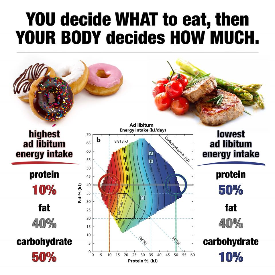 Nutrient Density 101 Optimising Nutrition