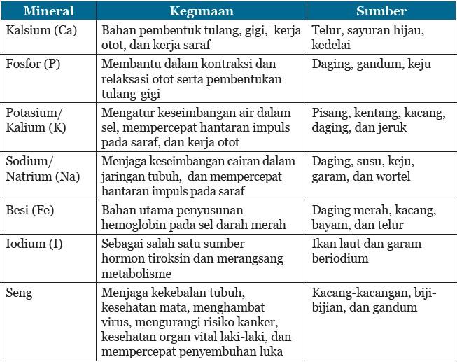 Smp Kelas 8 Sistem Pencernaan Manusia Belajaria Materi Pelajaran