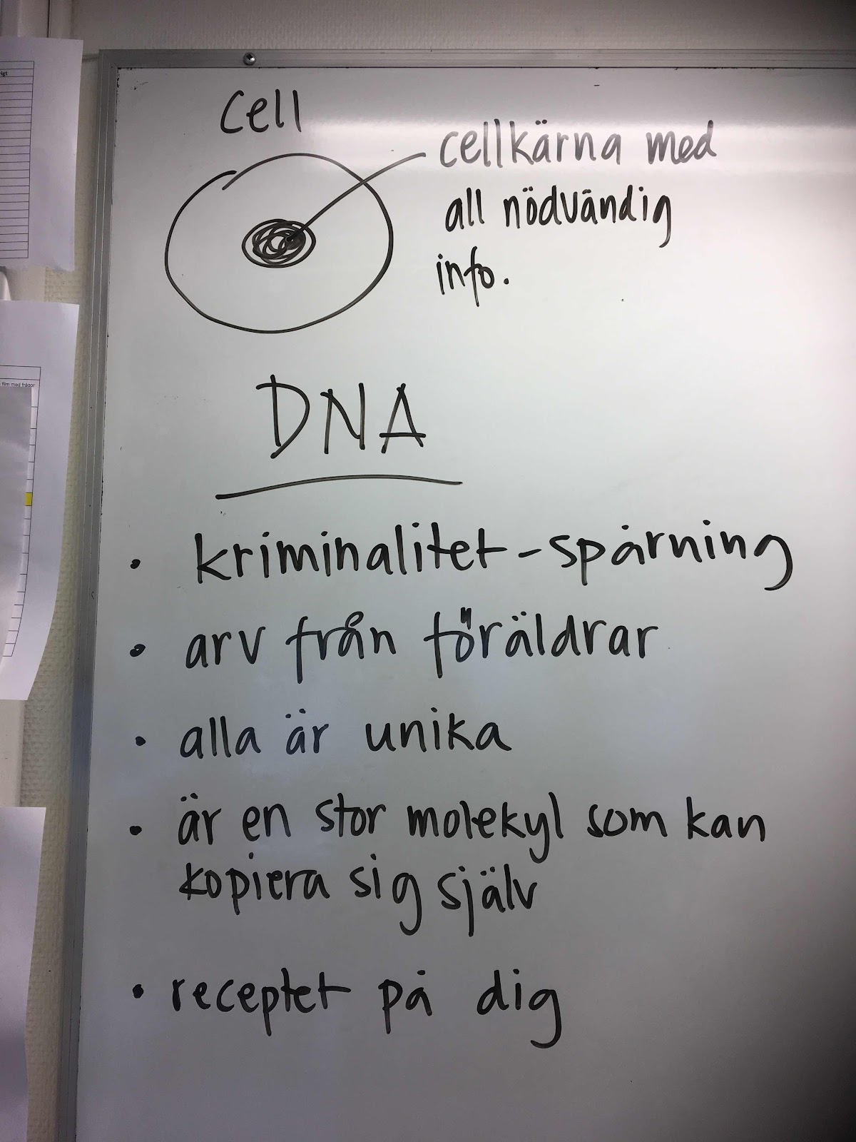 Biologiblogg åk 9 Start Genetik