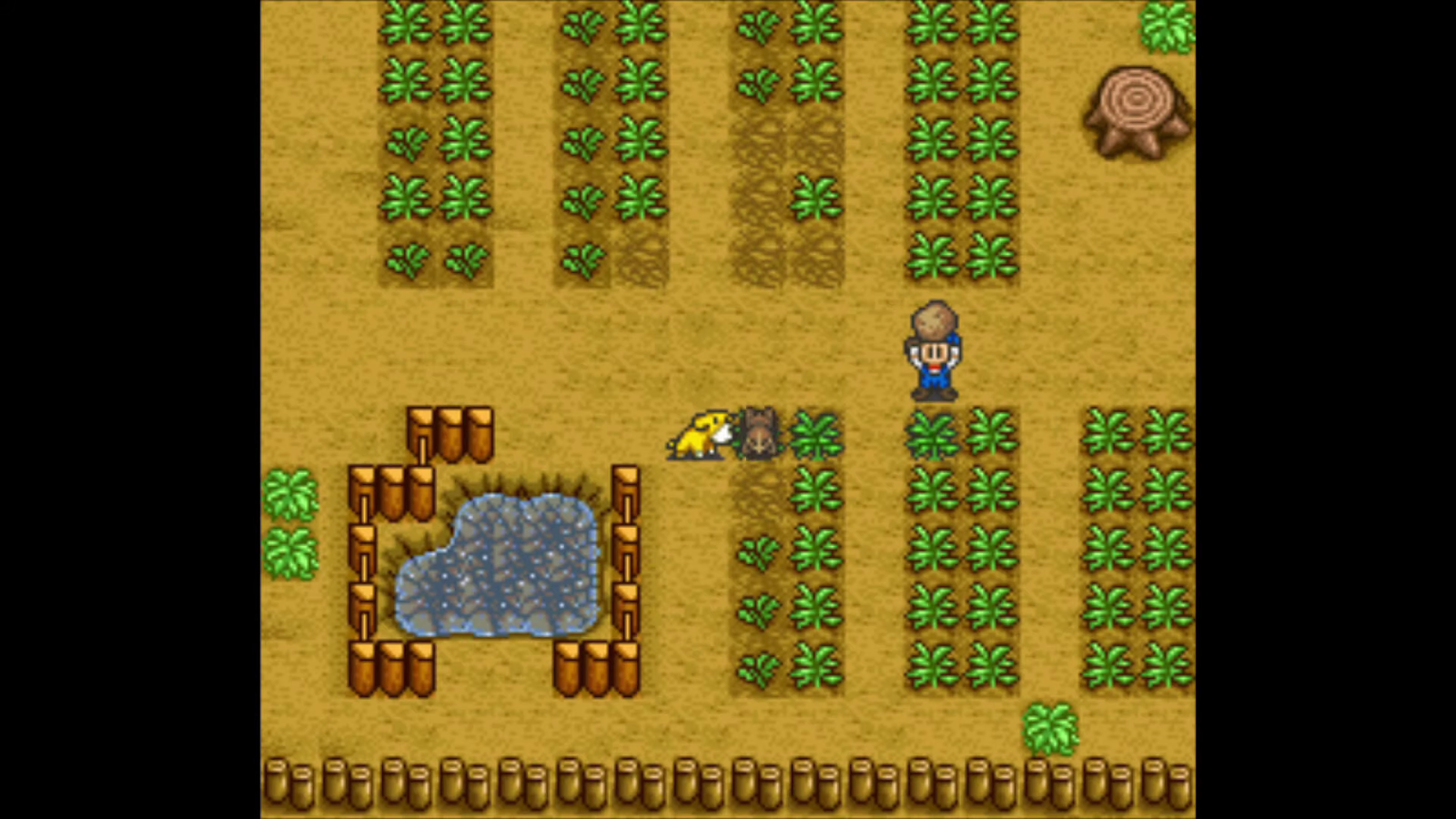 How To Get All Endings In Harvest Moon Snes Gamerzenith