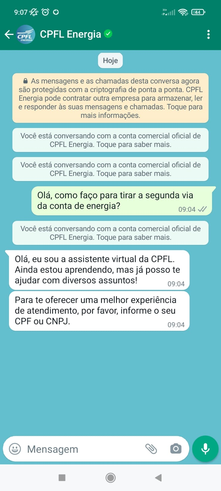 Cpfl 2ª Via Da Conta De Energia Confira O Passo A Passo Cashme