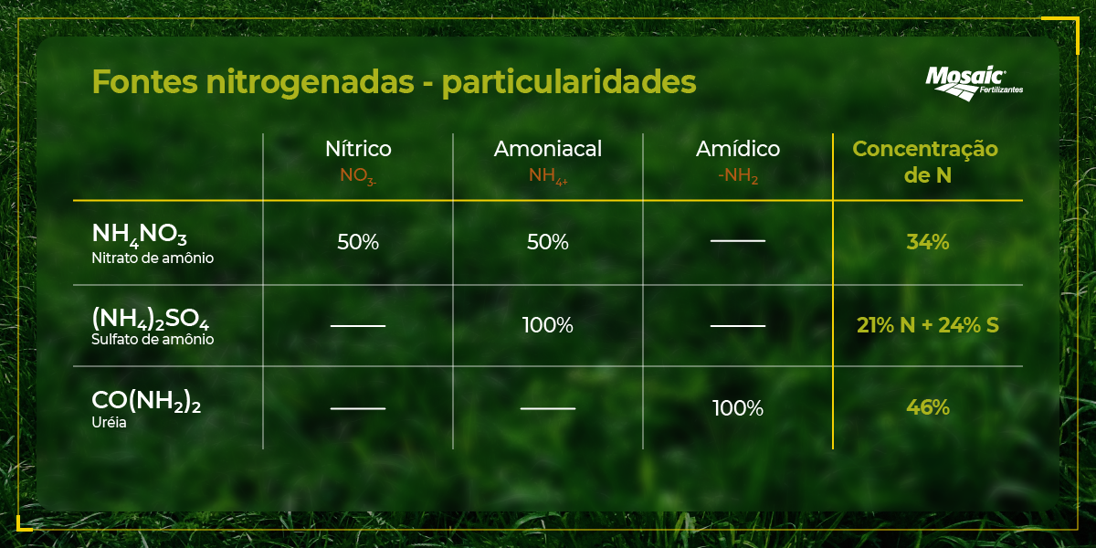 Nitrogênio Para As Plantas Função E Vantagens Na Adubação Mineral