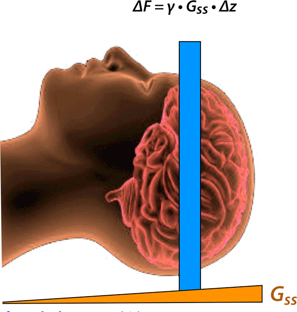 Visualizing Slice Selection And Shaped Pulse Excitation Profiles