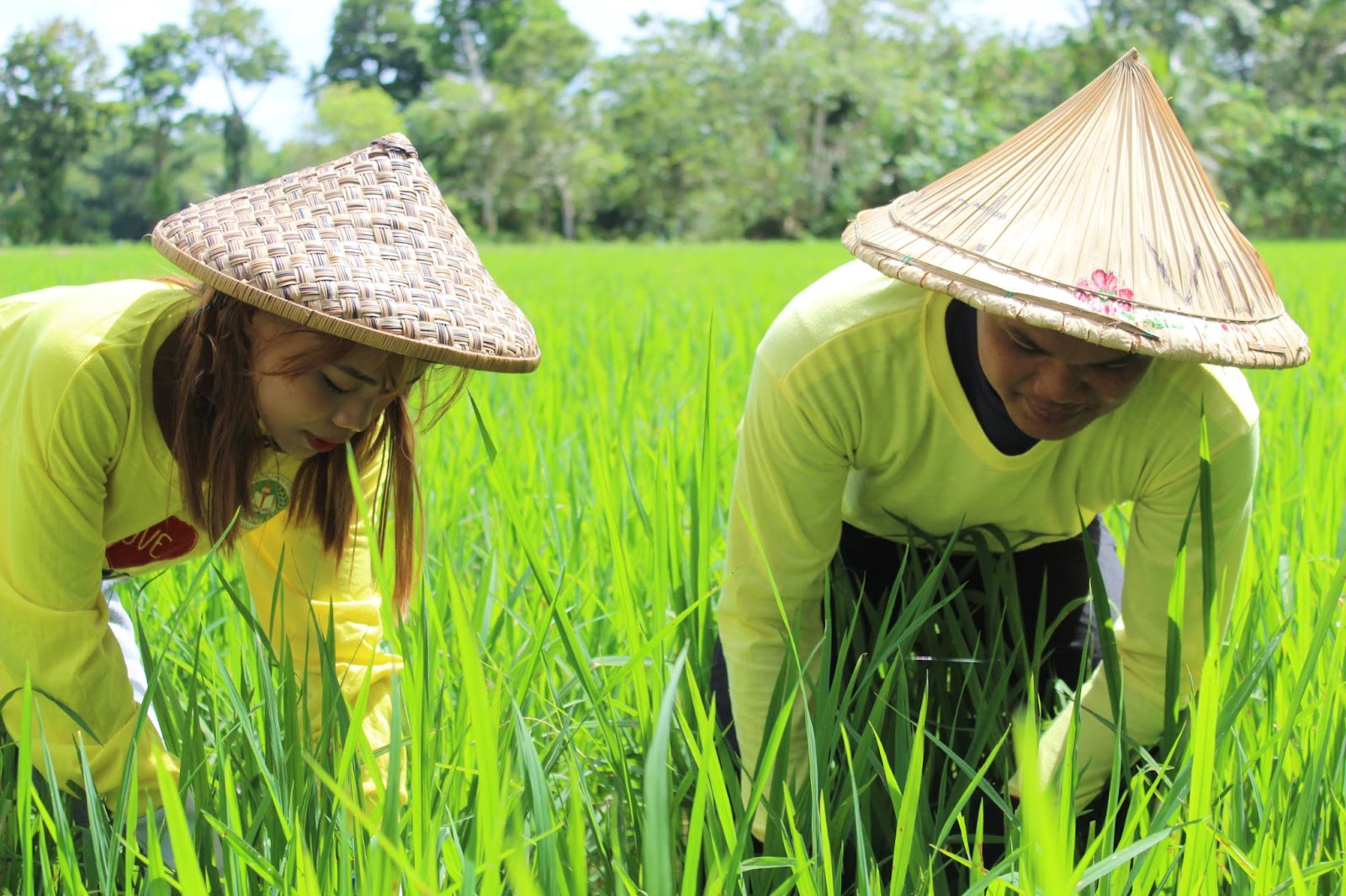 Bachelor Of Science In Agriculture Visayas State University