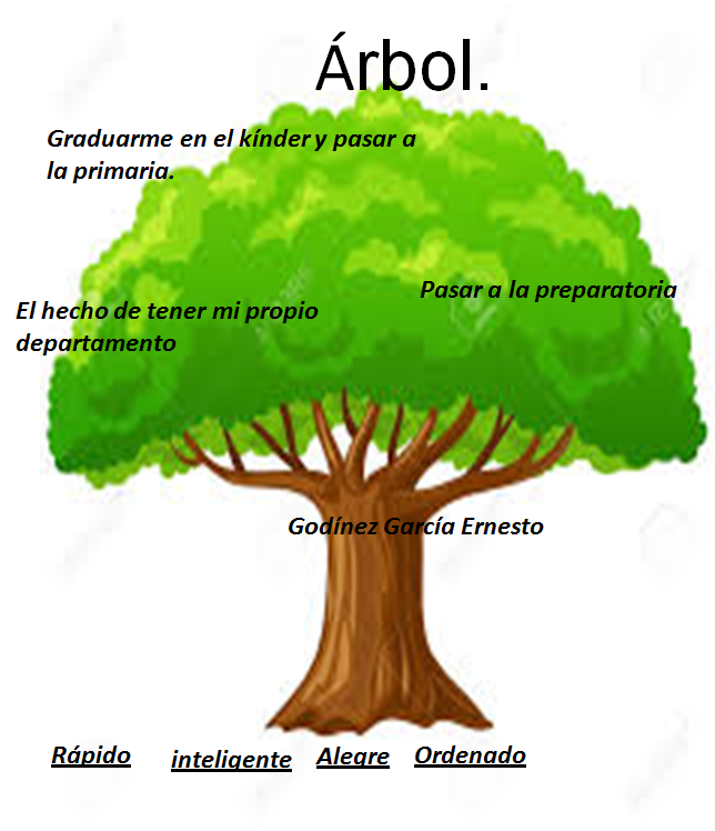 Arbol De Metas Y Logros