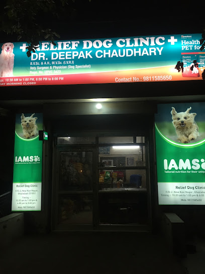 Dog And Cat Clinic Veterinary Care Ghaziabad Uttar Pradesh Zaubee