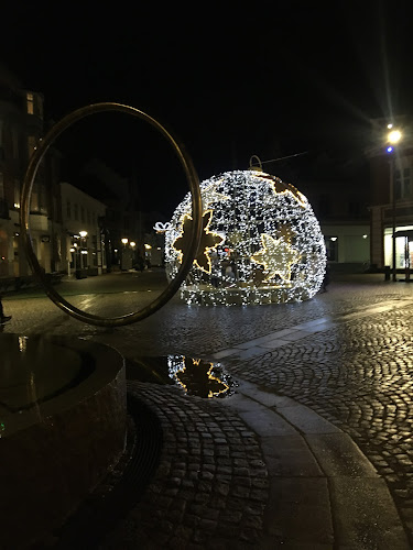 4 Anmeldelser Af Det Gamle Rådhus I Hjørring Museum I Hjørring