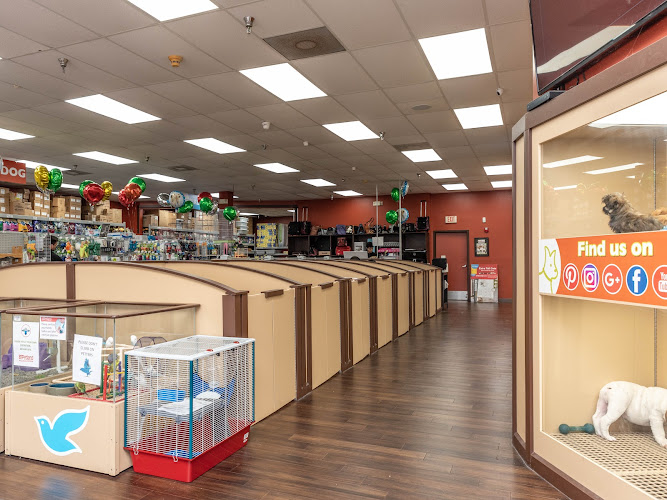 Petland Pembroke Pines Reviews Pembroke Pines Florida