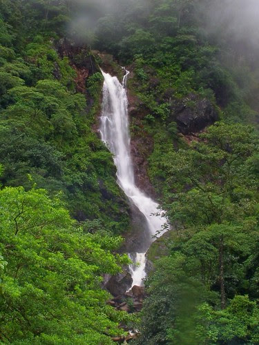 Venezuela Verde San Cristobal Ciudad De La Cordialidad