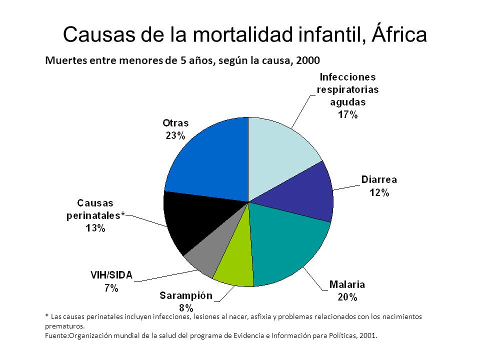 A U L A 29 La Mortalidad En Cinco Países