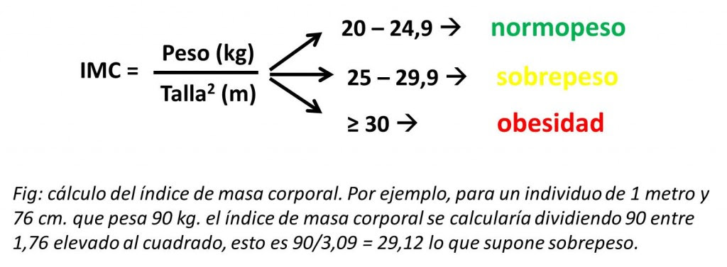 Como Se Calcula La Masa Corporal Ejemplos Opciones De Ejemplo