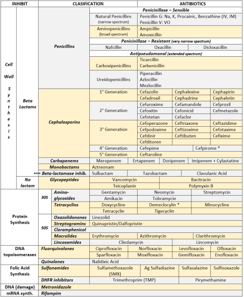 Usmle Notes Usmle Antibiotic Cheat Sheet Microbiology