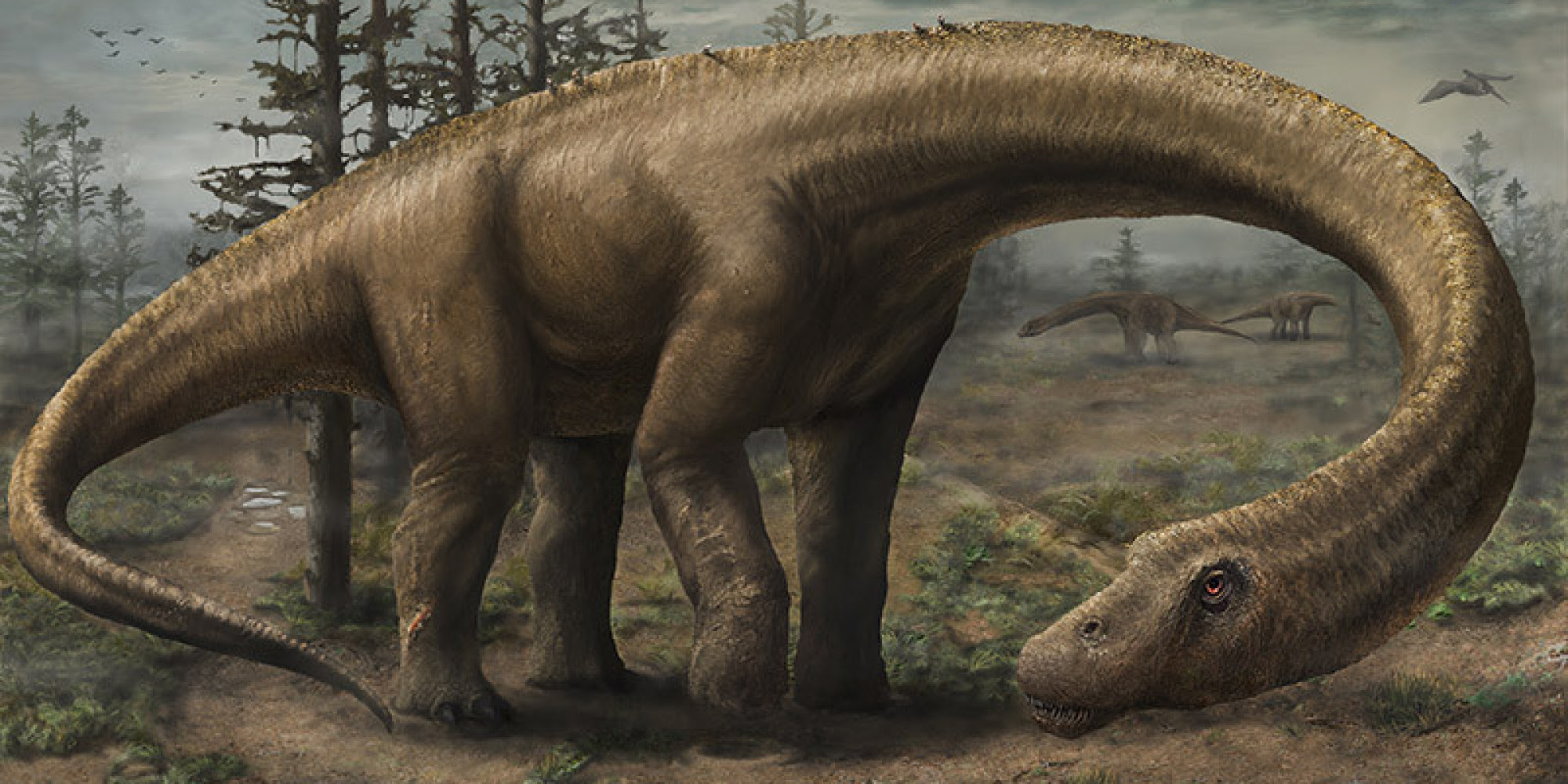 Universo Animal Os 10 Maiores Dinossauros Que Já Existiram