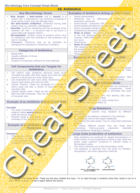 Usmle Antibiotics Cheat Sheet Cheat Dumper