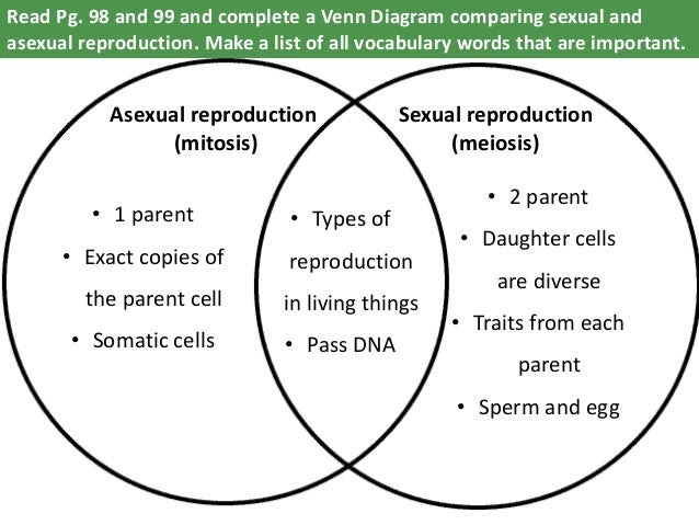 Sexual And Asexual Reproduction Venn Diagram Hanenhuusholli