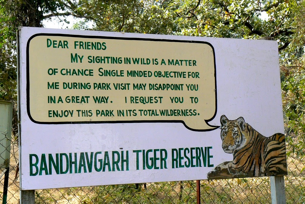 Save Tigers Tiger Reserves In India