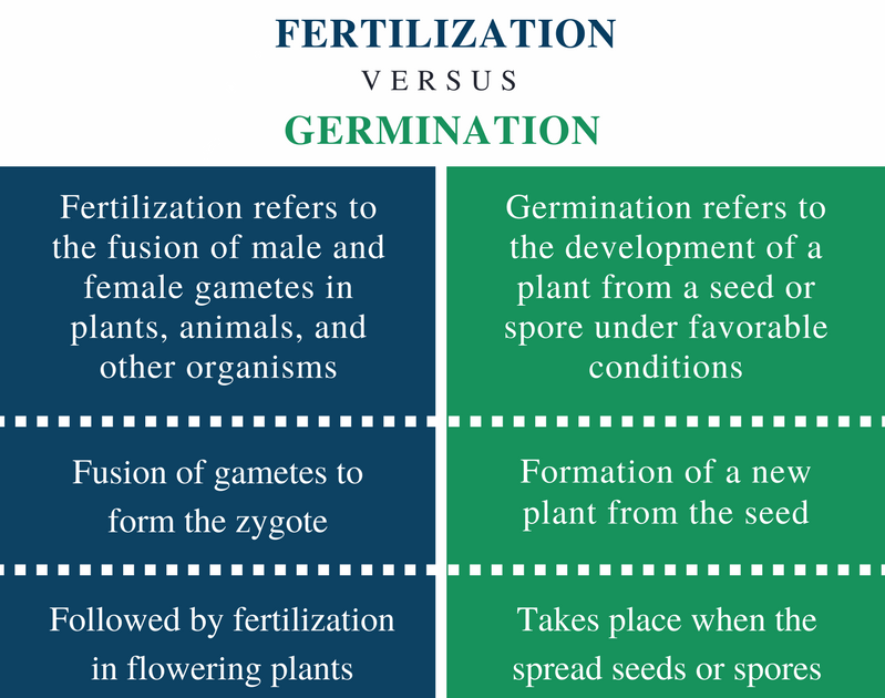 Difference Between Pollination And Fertilization Class 10 Slidesharetrick