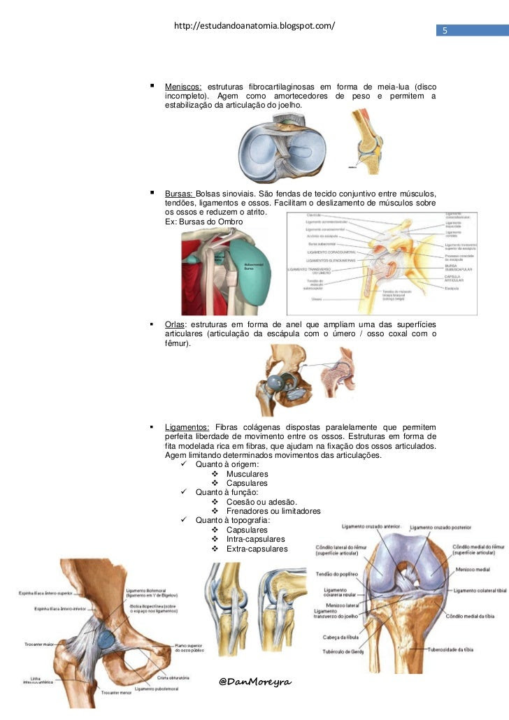 SaÚde E Bem Estar Sistema Articular