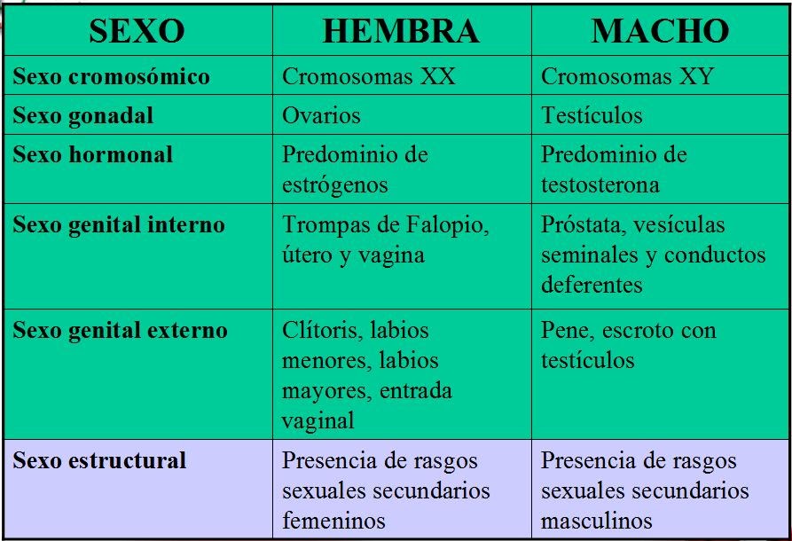 Ciencias De La Salud 2 Tipos De Sexo