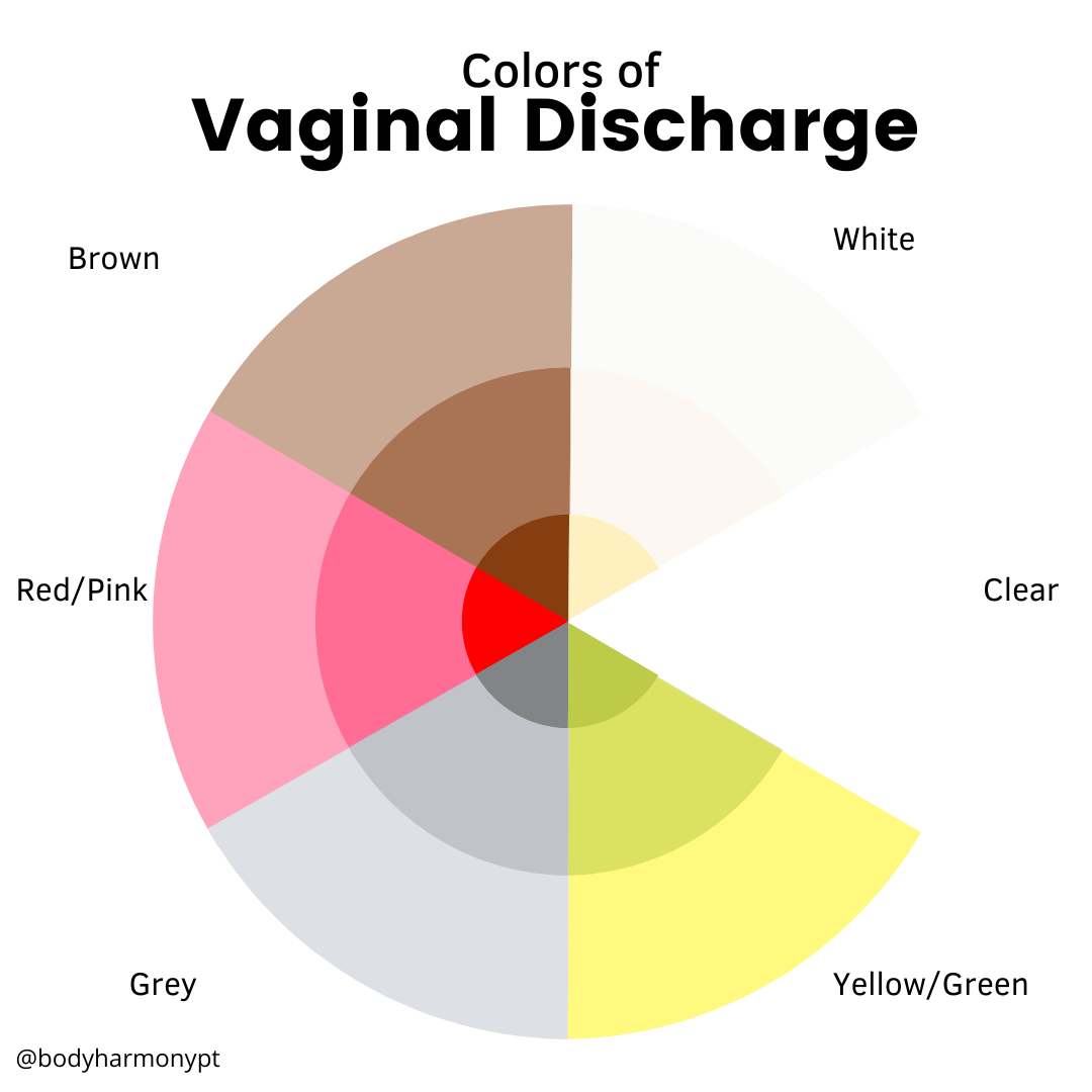 Vaginal Discharge 101 Body Harmony Physical Therapy