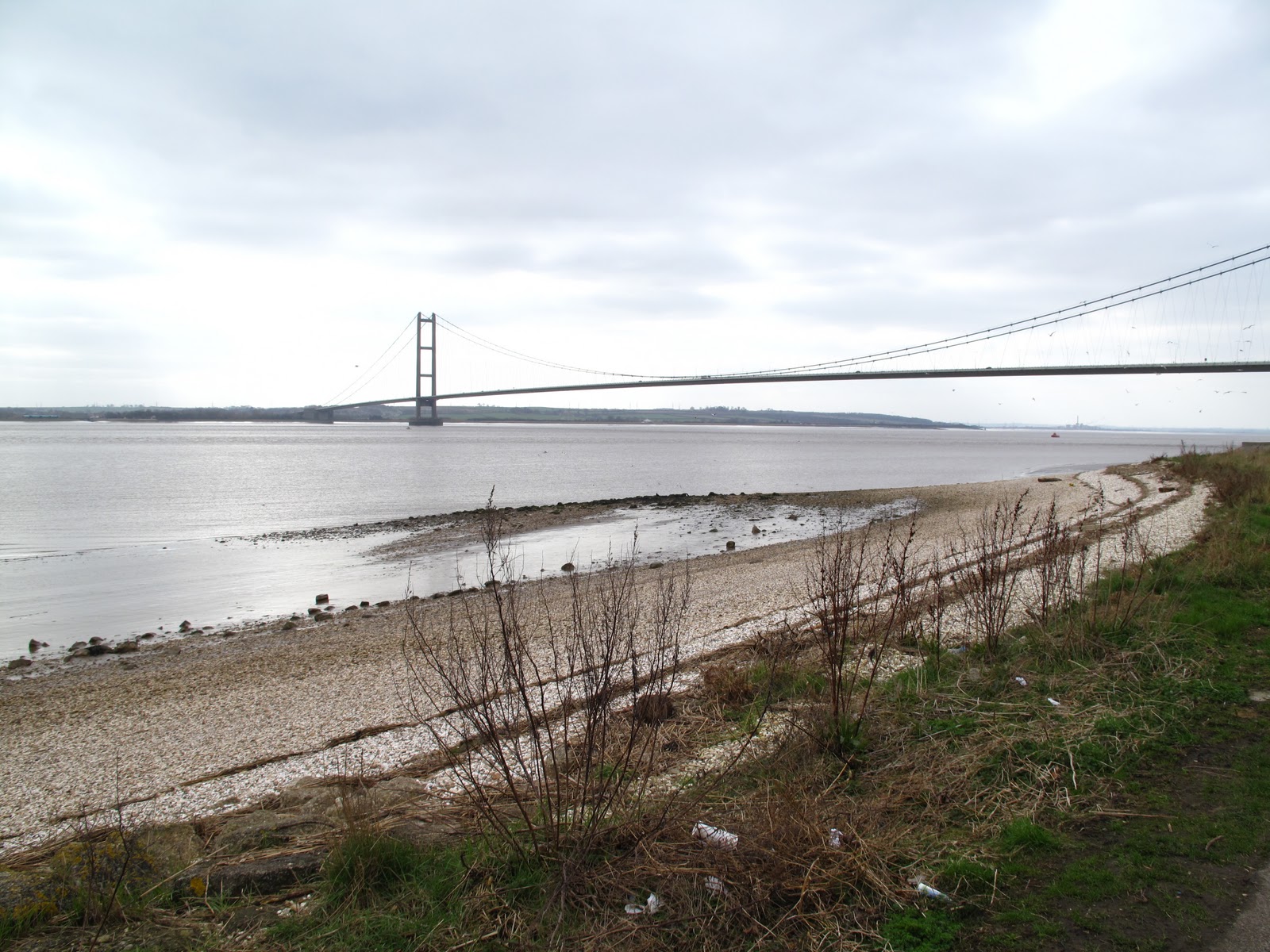 Wild At Hull Beachcombing On Hessle Foreshore