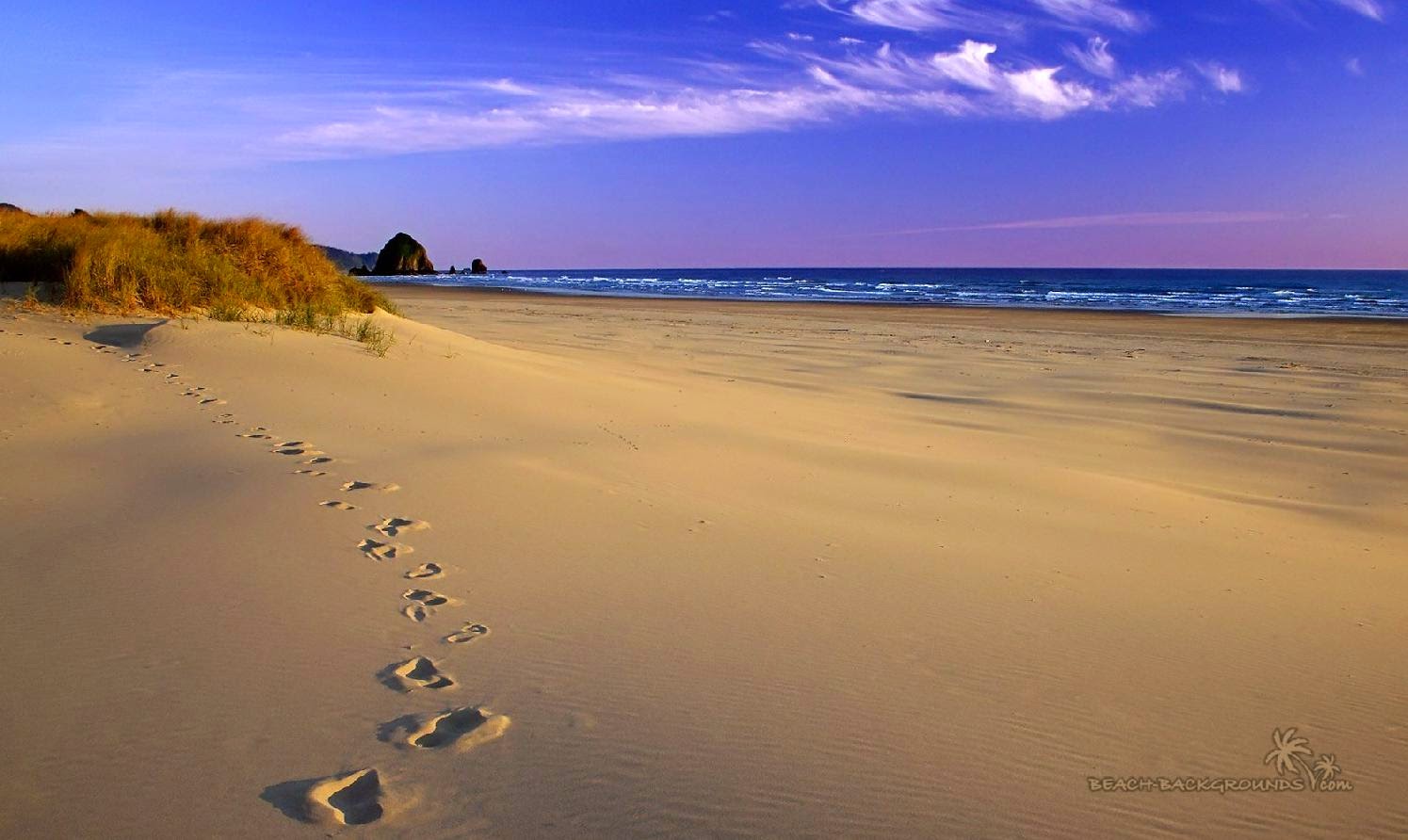 Sandy Beach Beautiful Beach