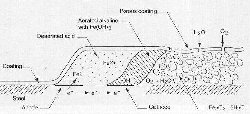 Metallurgical Failure Analysis การกัดกร่อนภายใต้ชั้นเคลือบ Filiform