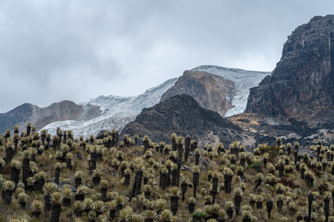 10 Lugares Que Tienes Que Visitar En El Parque Nacional Natural Los