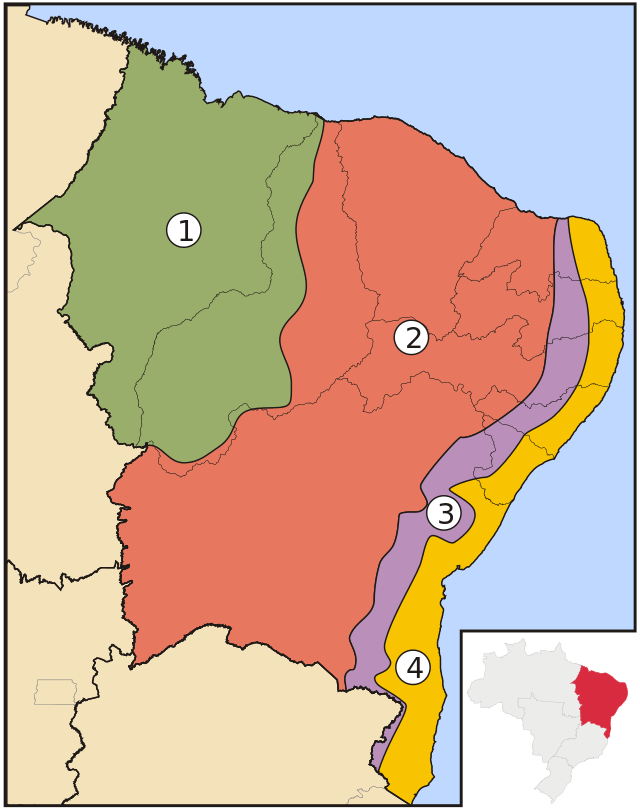 Resumo Do Ciclo Da Cana De Açúcar Contexto E Características