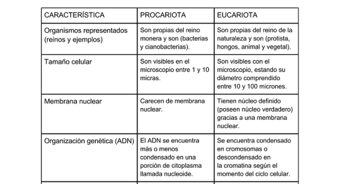 Diferencias Y Similitudes Entre Celula Eucariota Y Procariota