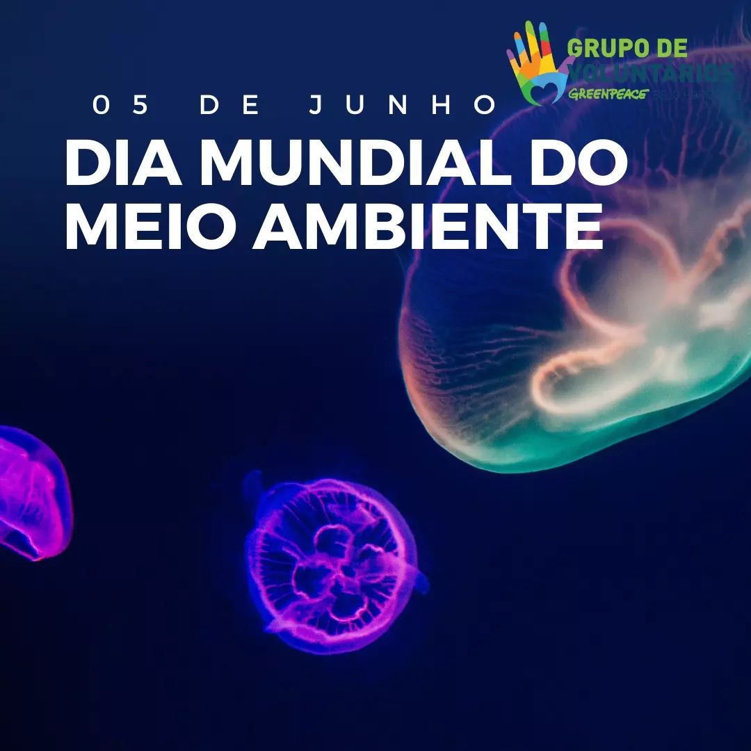 Dia Mundial Do Meio Ambiente Você Sabe Qual é A Importância