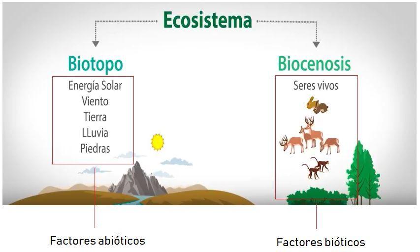 Instituto Nacional Mixto América Guía De Trabajo No 4 Ciencias