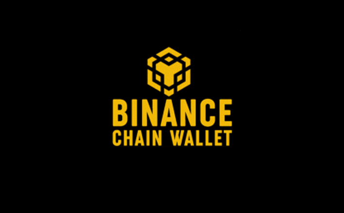 The Beginners Guide To The Binance Smart Chain Wallet