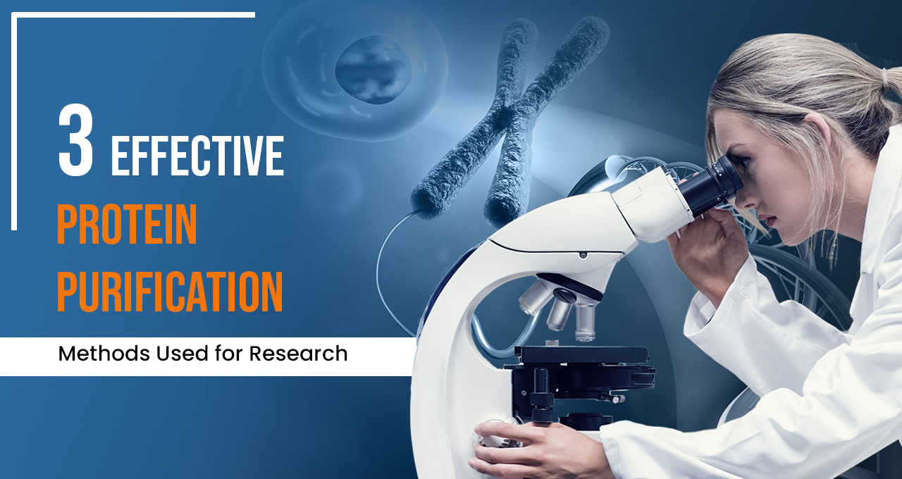 3 Effective Protein Purification Methods Used For Research