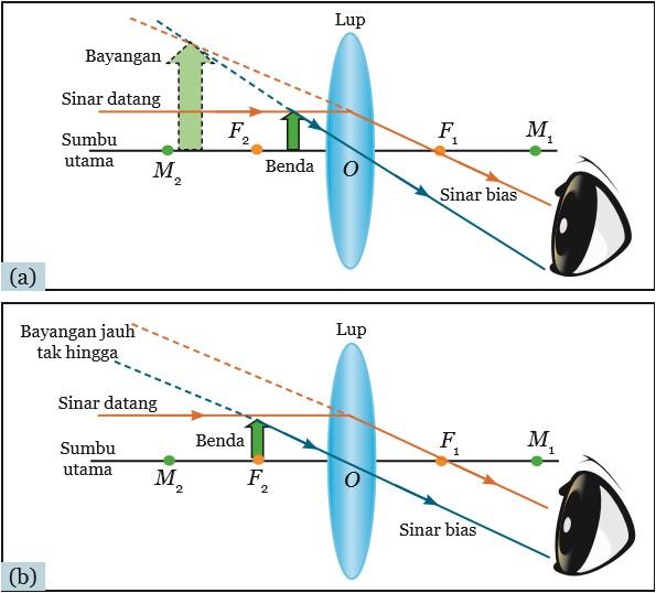 Cahaya Dan Alat Optik Materi Ipa Kelas 8