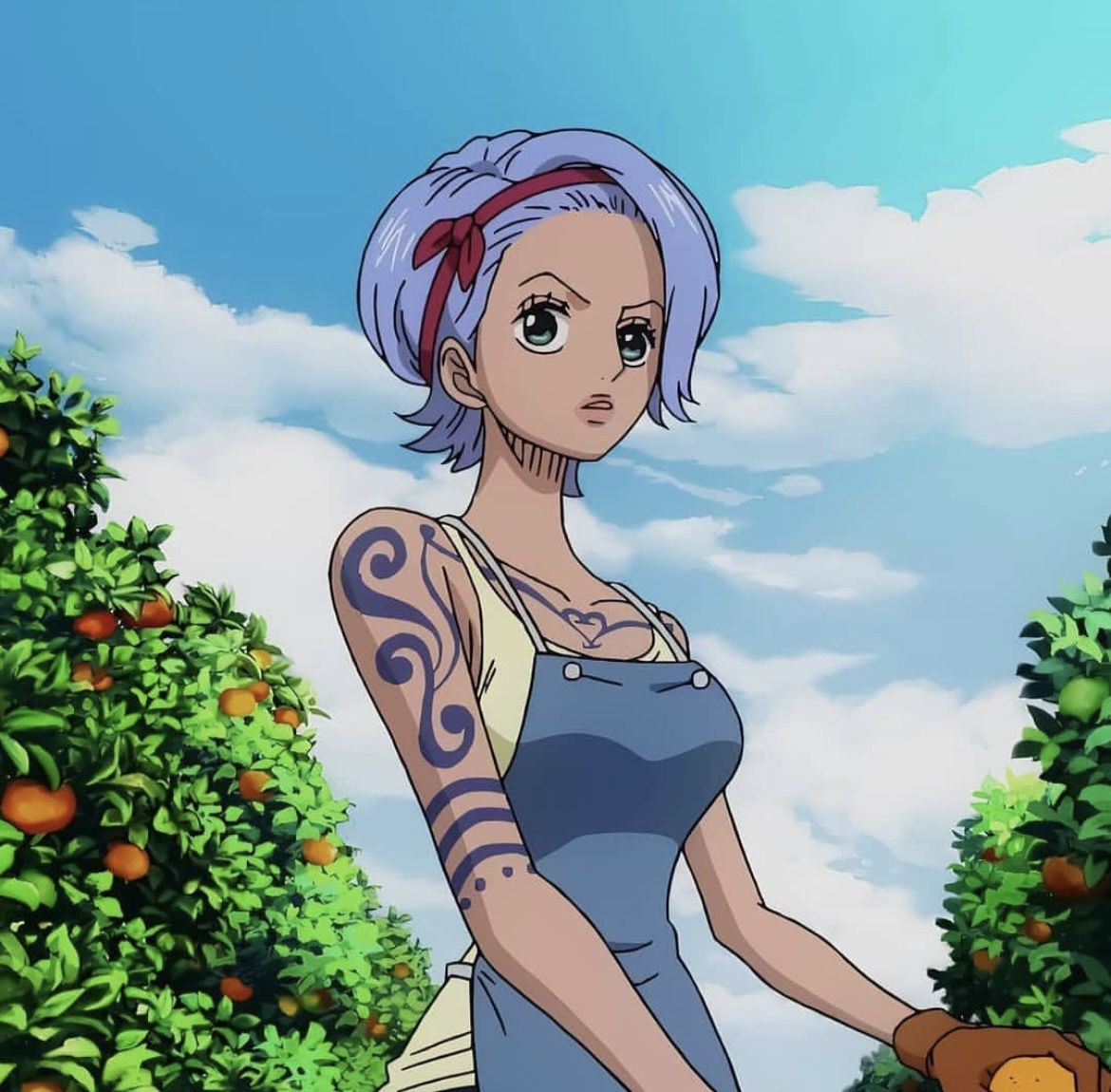 Who Is Nojiko In One Piece