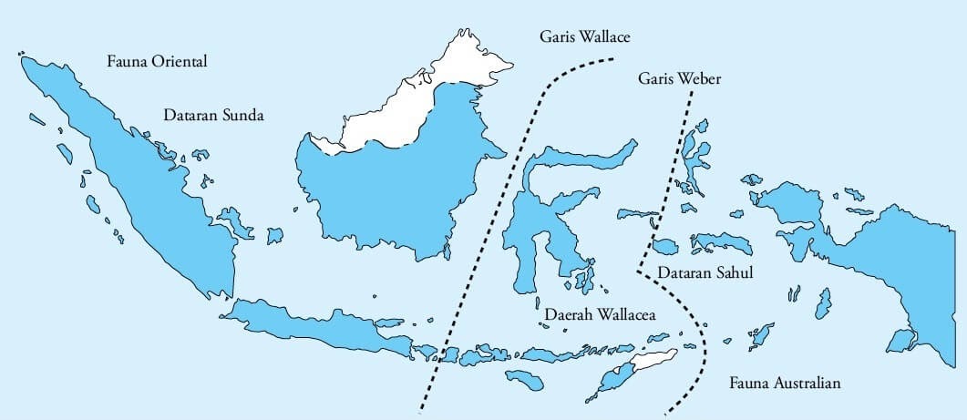 Grantnsaipan Persebaran Taman Nasional Di Indonesia Dan Yang Dilindungi