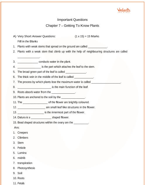 Cbse Class English Grammar Worksheets Tenses Joseph Franco S