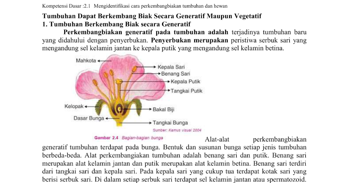 11 Gambar Bunga Dan Bagian Bagiannya Dan Cara Penyerbukannya Paling Baru