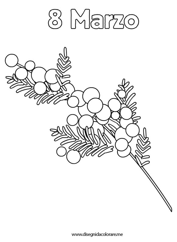 Mimosa Da Colorare Disegni Coloring Collection Immagini