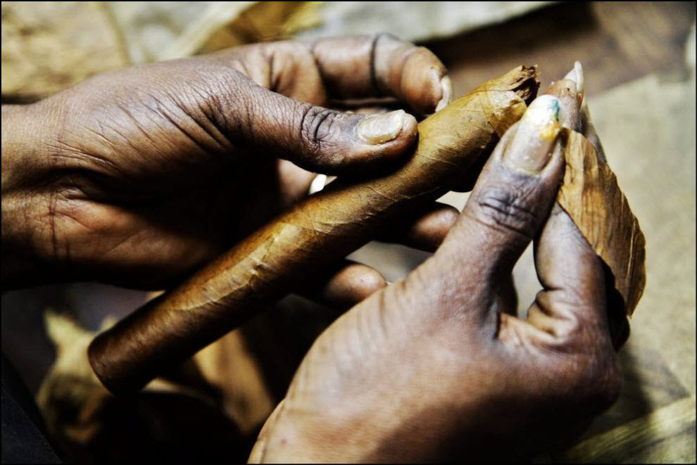 Foto Noticias La Fabricación De Los Cigarros Cubanos Cohiba