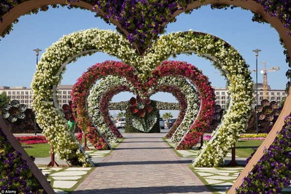 بالصور أكبر حديقة أزهار فى العالم فى دبى تضم 45 مليون زهرة مجلة زهرة